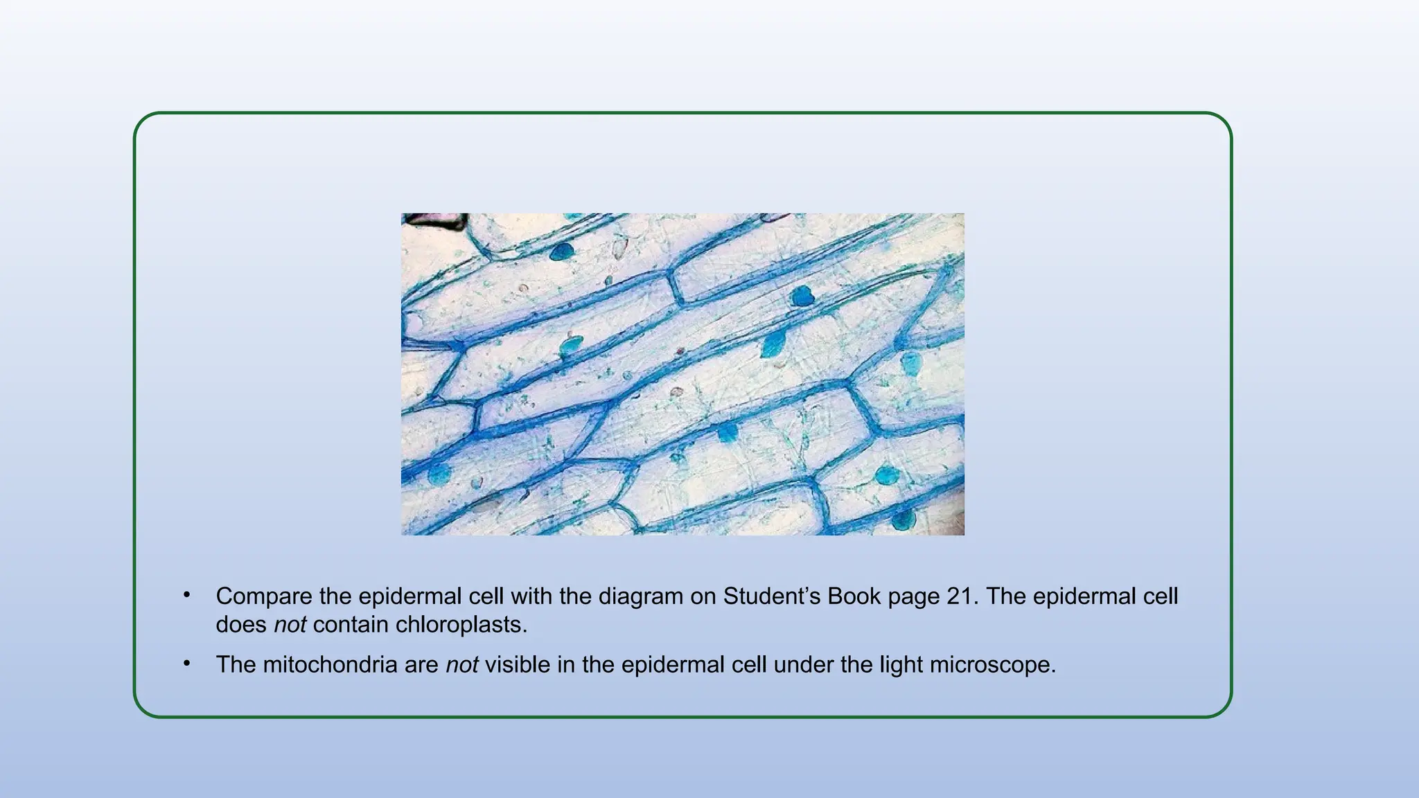 Chapter One, Title Cell Grade 7 Slides.pptx
