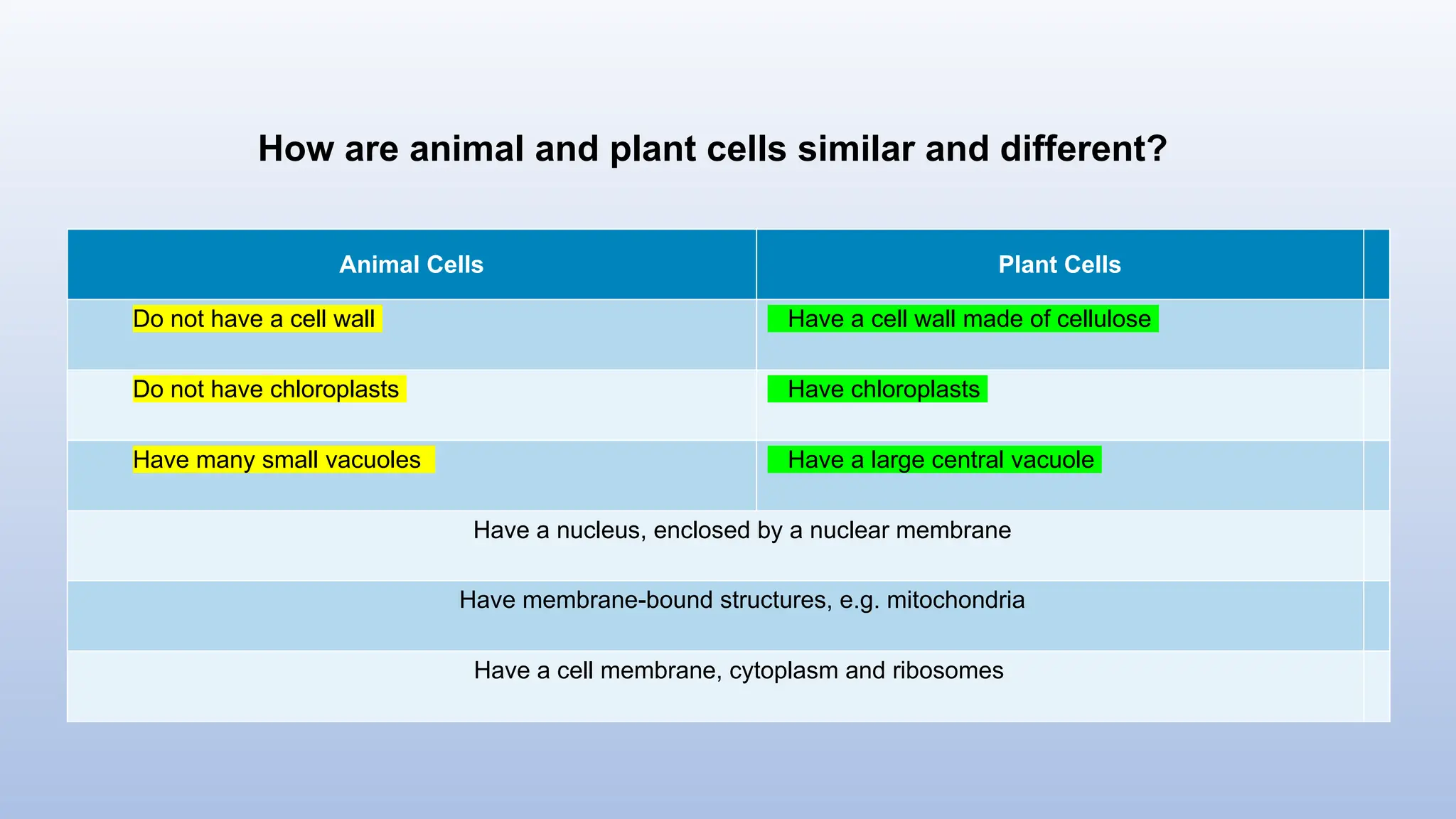 Chapter One, Title Cell Grade 7 Slides.pptx