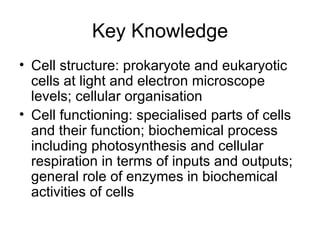 Unit 1 Biology Chapter 1 - Cells in Action | PPT