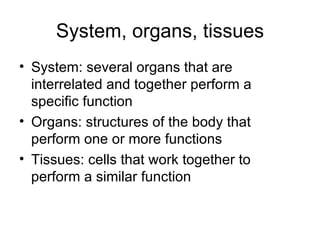 Unit 1 Biology Chapter 1 - Cells in Action | PPT