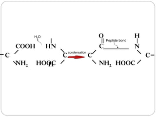 Chap 1 chemical_composition_of_the_cell | PPT | Chemistry | Science