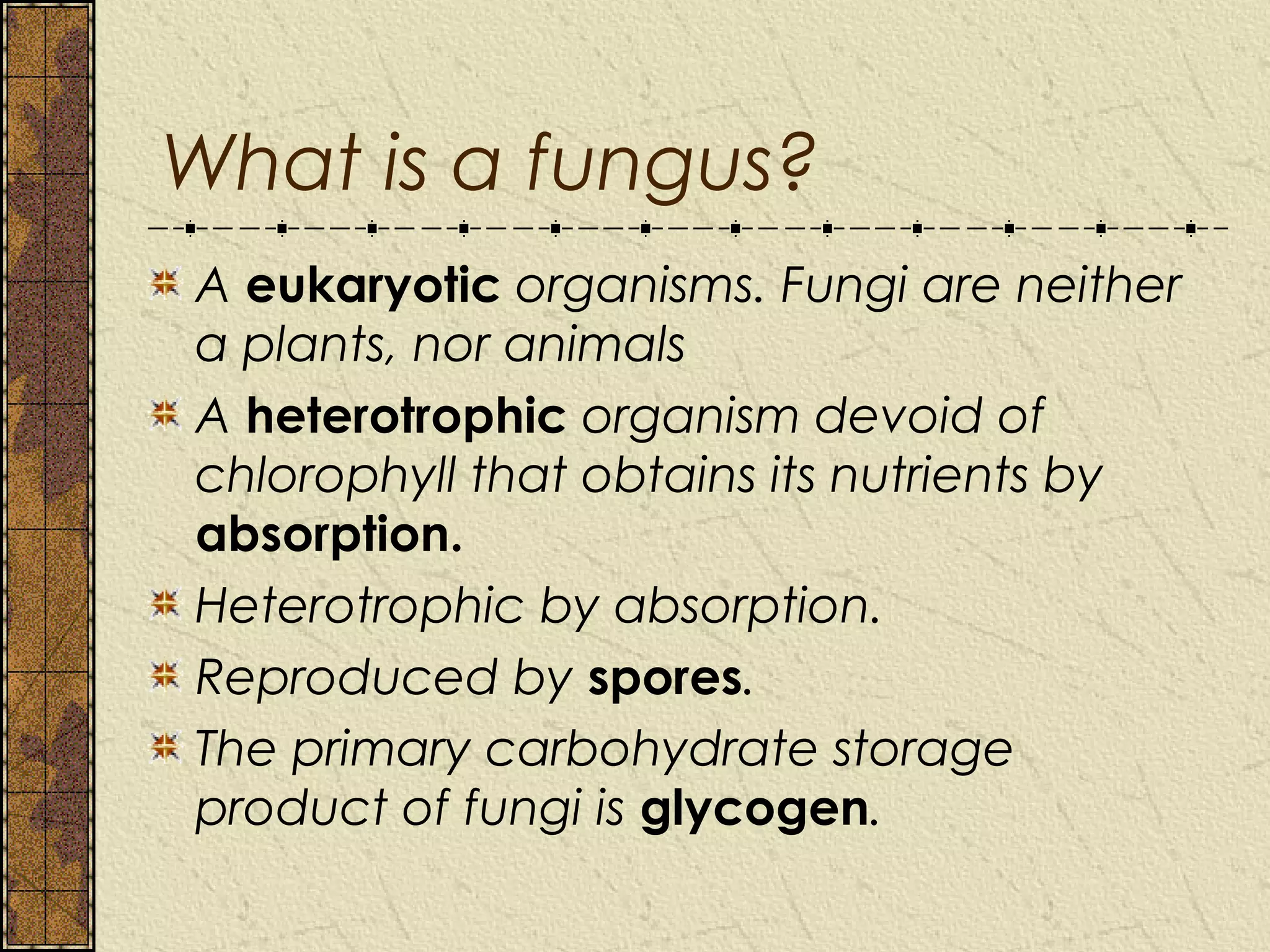 Chap 1 classification of fungi | PPT