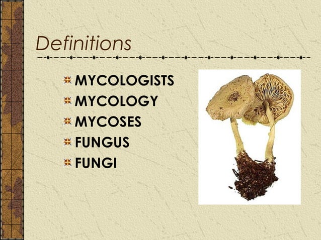 Chap 1 classification of fungi | PPT | Biological Sciences | Science