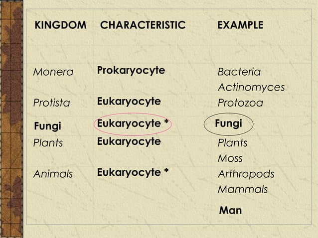 Chap 1 classification of fungi | PPT