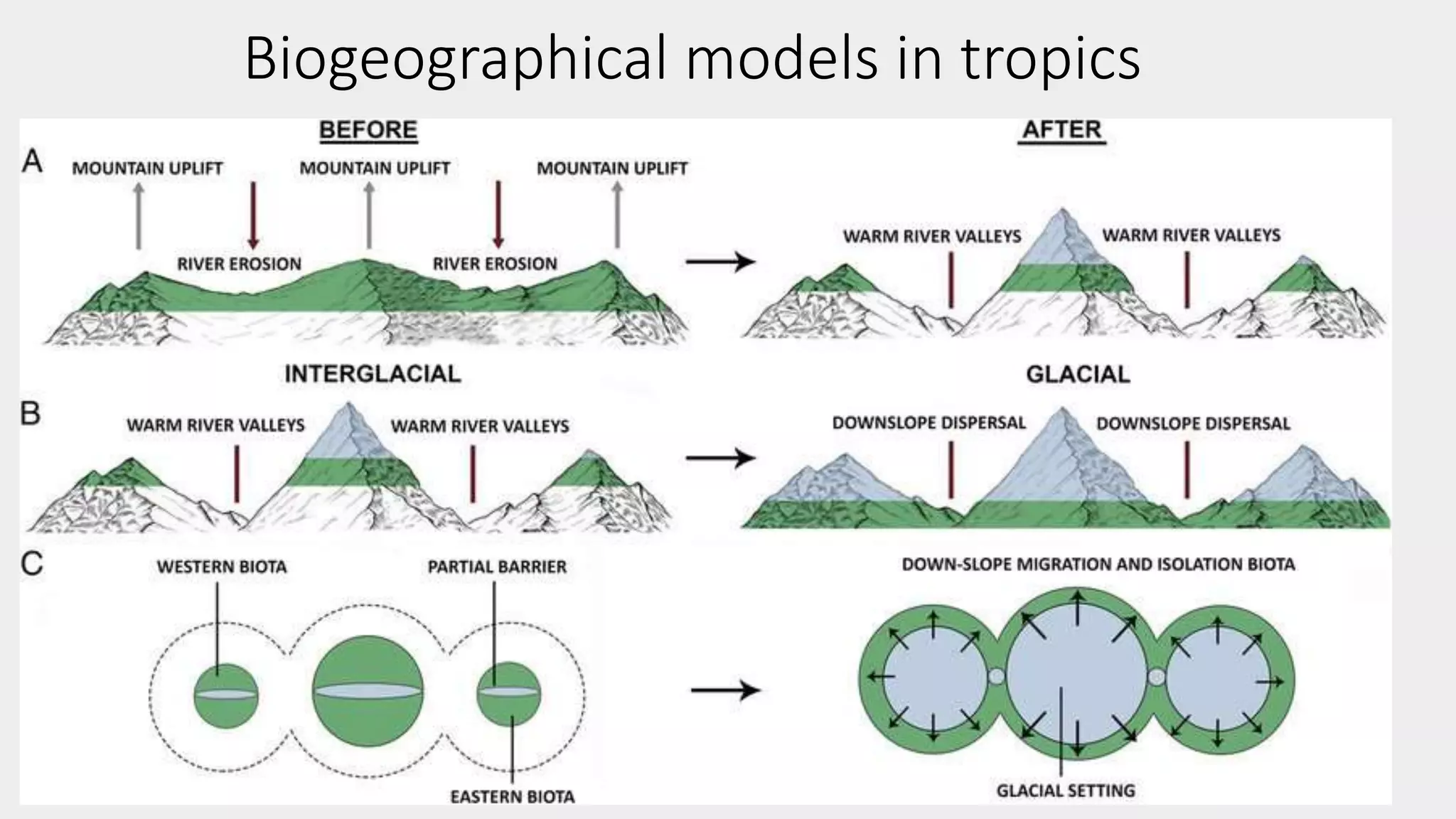 Introduction to Tropical Geomorphology | PPTX