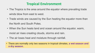 Introduction to Tropical Geomorphology | PPTX