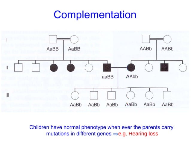 Modes of inheritance | PPT