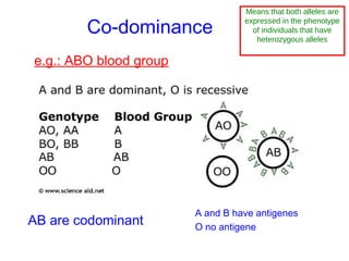 Modes of inheritance | PPT