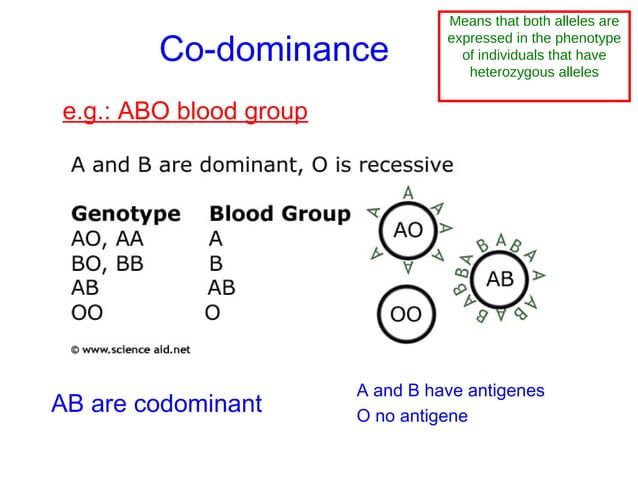 Modes of inheritance | PPT