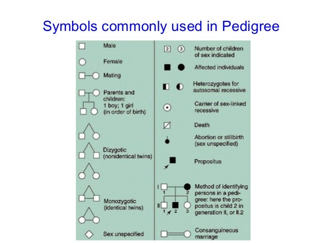 Modes of inheritance