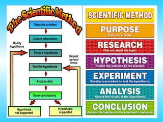 Chapter 1 - Introduction to Chemistry | PPT