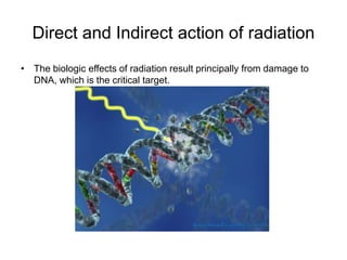 Chap1 physics and chemistry of radiation absorption | PPTX