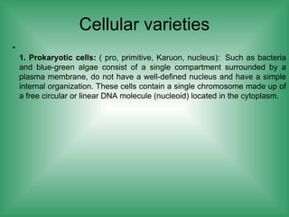 Chap 1 FUNCTIONAL COMPARTMENTALIZATION OF THE CELL | PPT