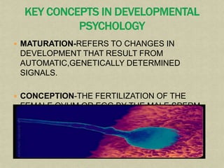 Chapter 2: DEVELOPMENTAL PSYCHOLOGY | PPTX