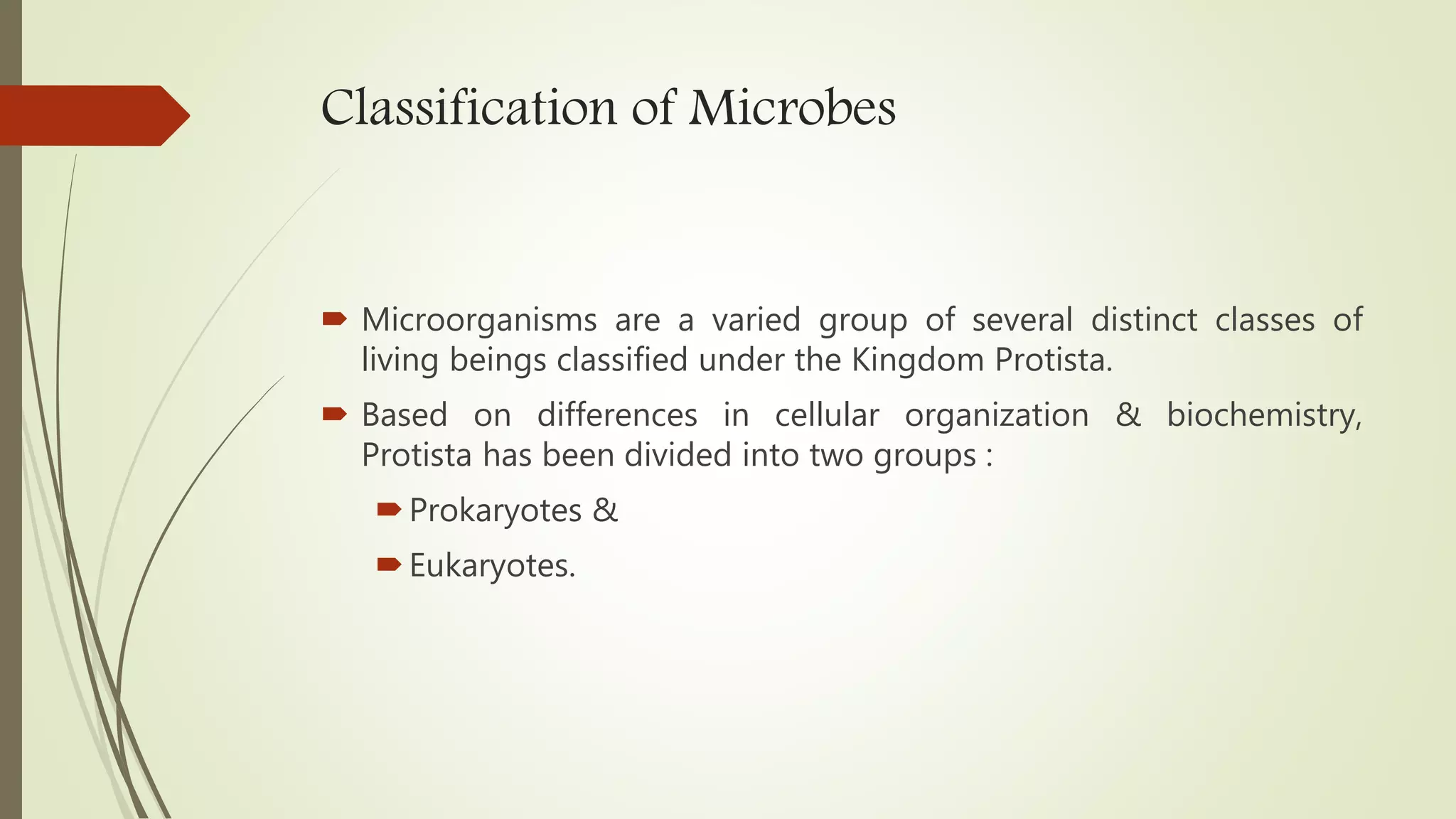 structure & classification of microbes | PPTX