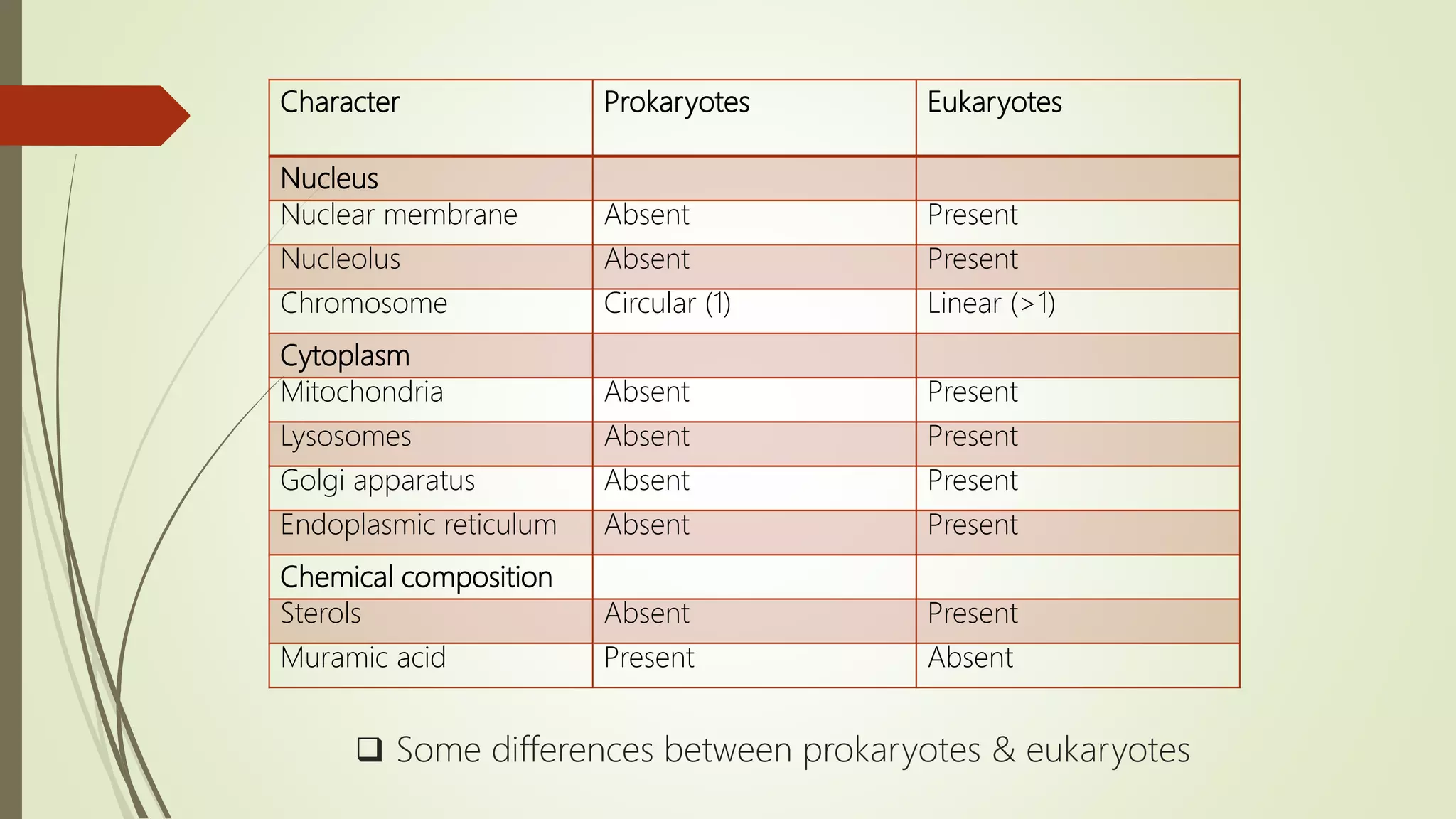 structure & classification of microbes | PPTX