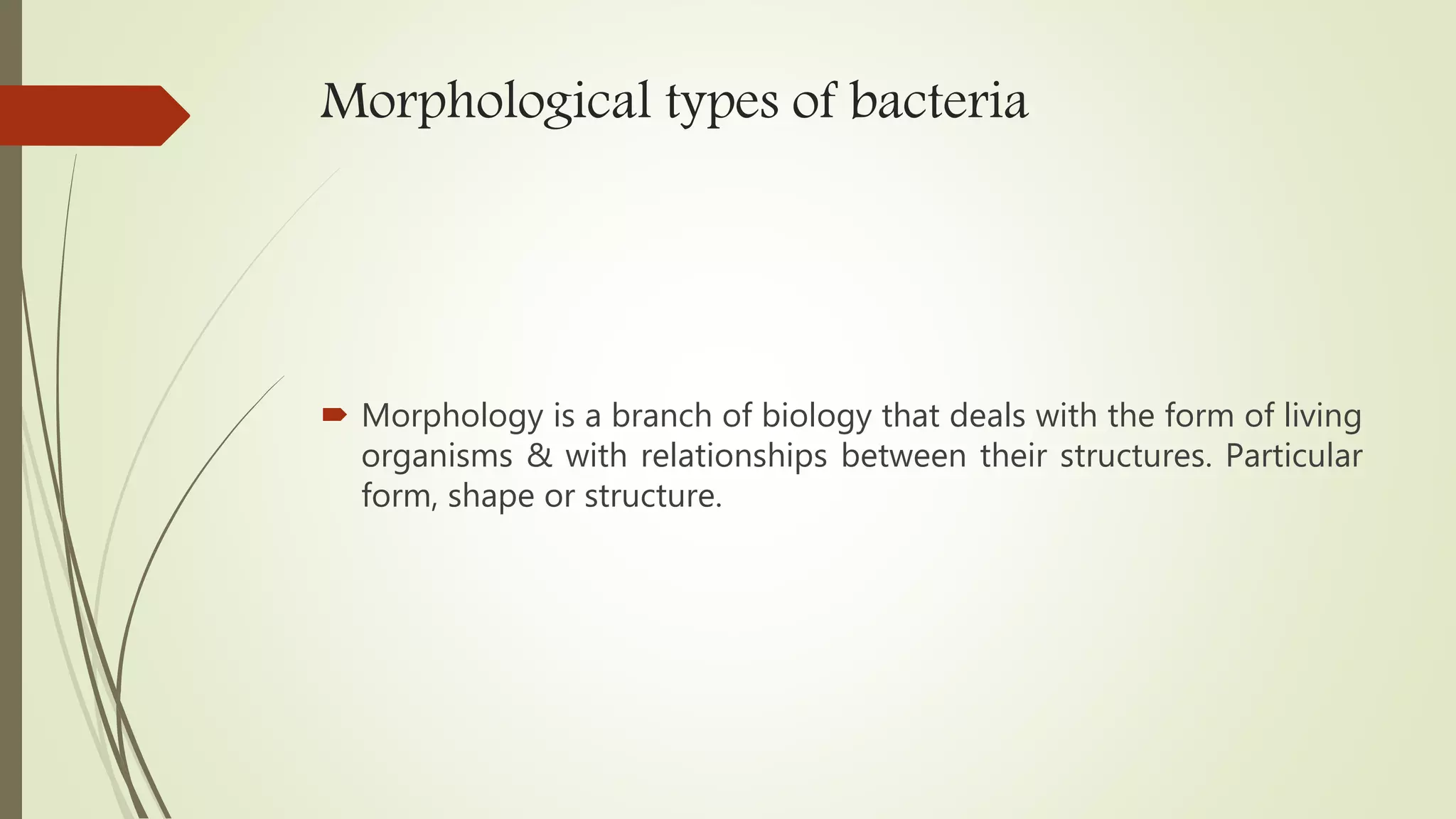 structure & classification of microbes | PPTX