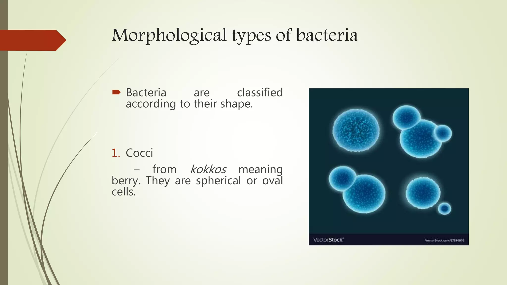 structure & classification of microbes | PPTX
