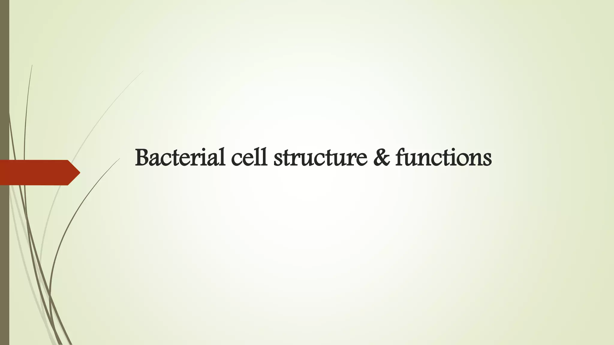 structure & classification of microbes | PPTX