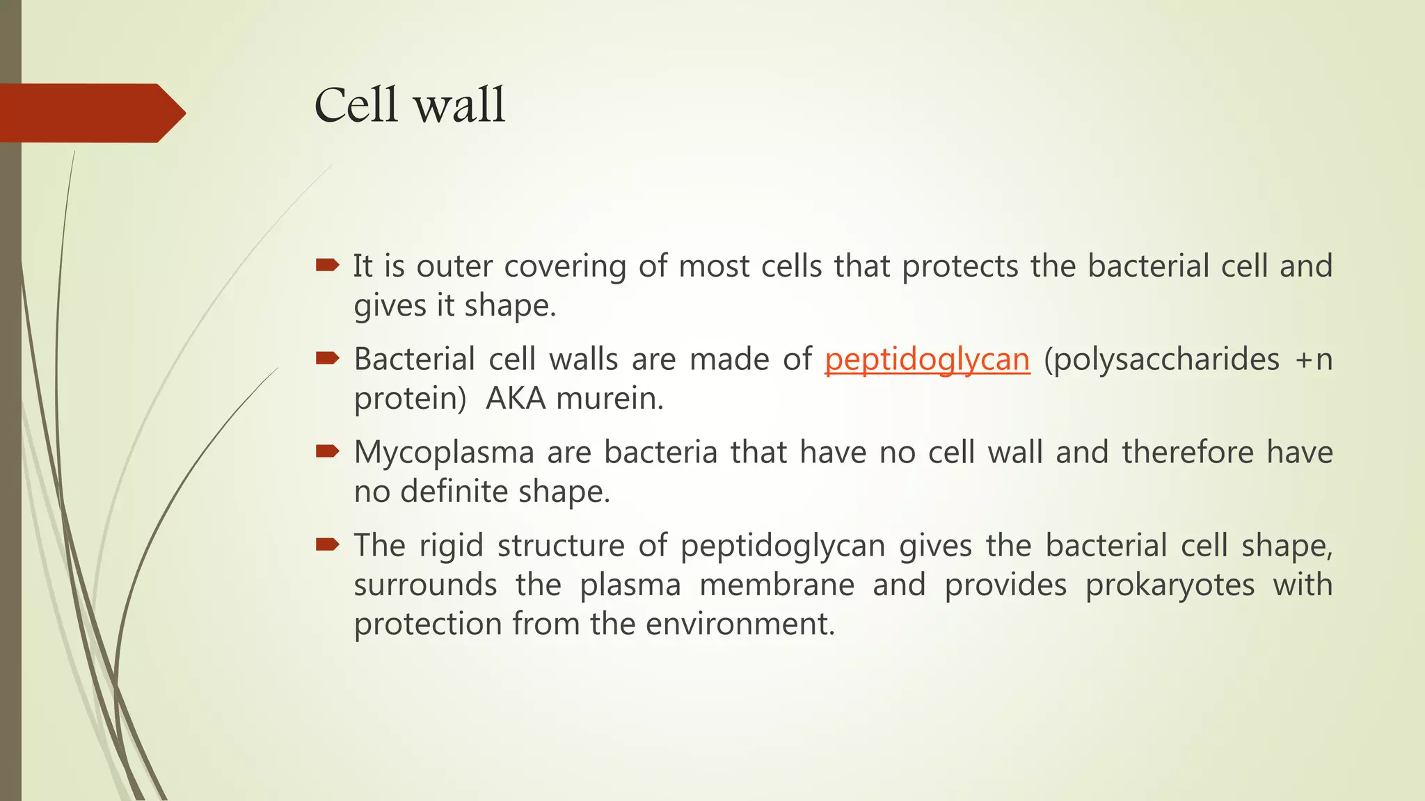 structure & classification of microbes | PPTX