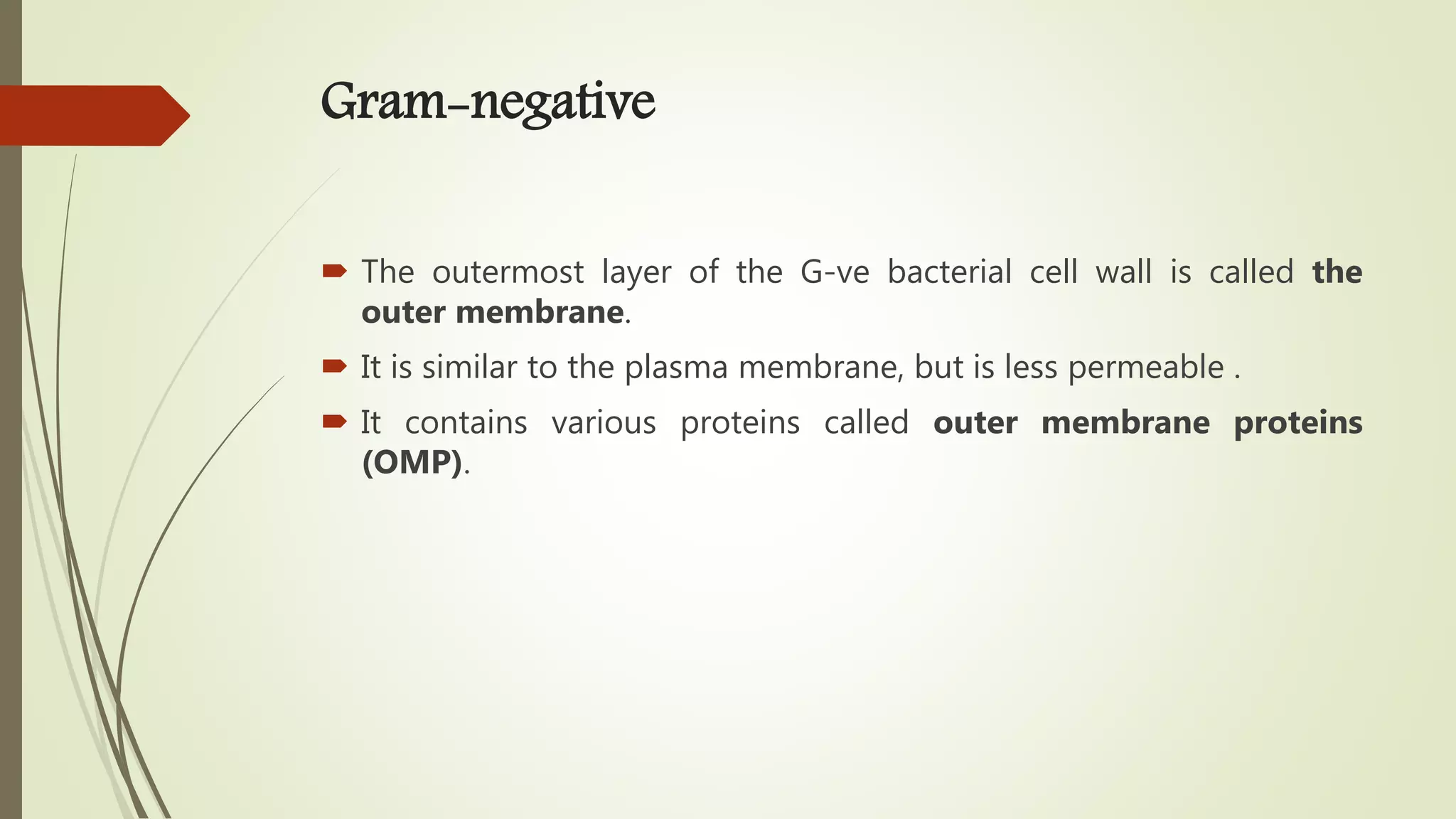 structure & classification of microbes | PPTX