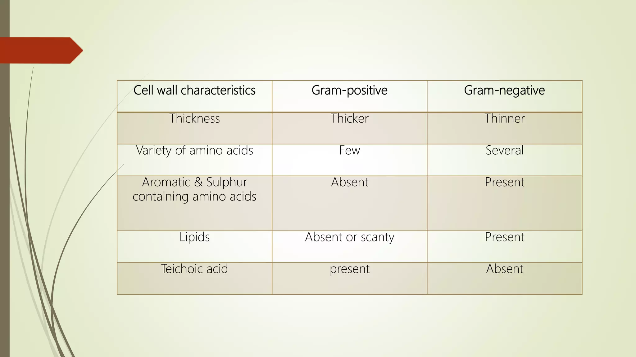 structure & classification of microbes | PPTX