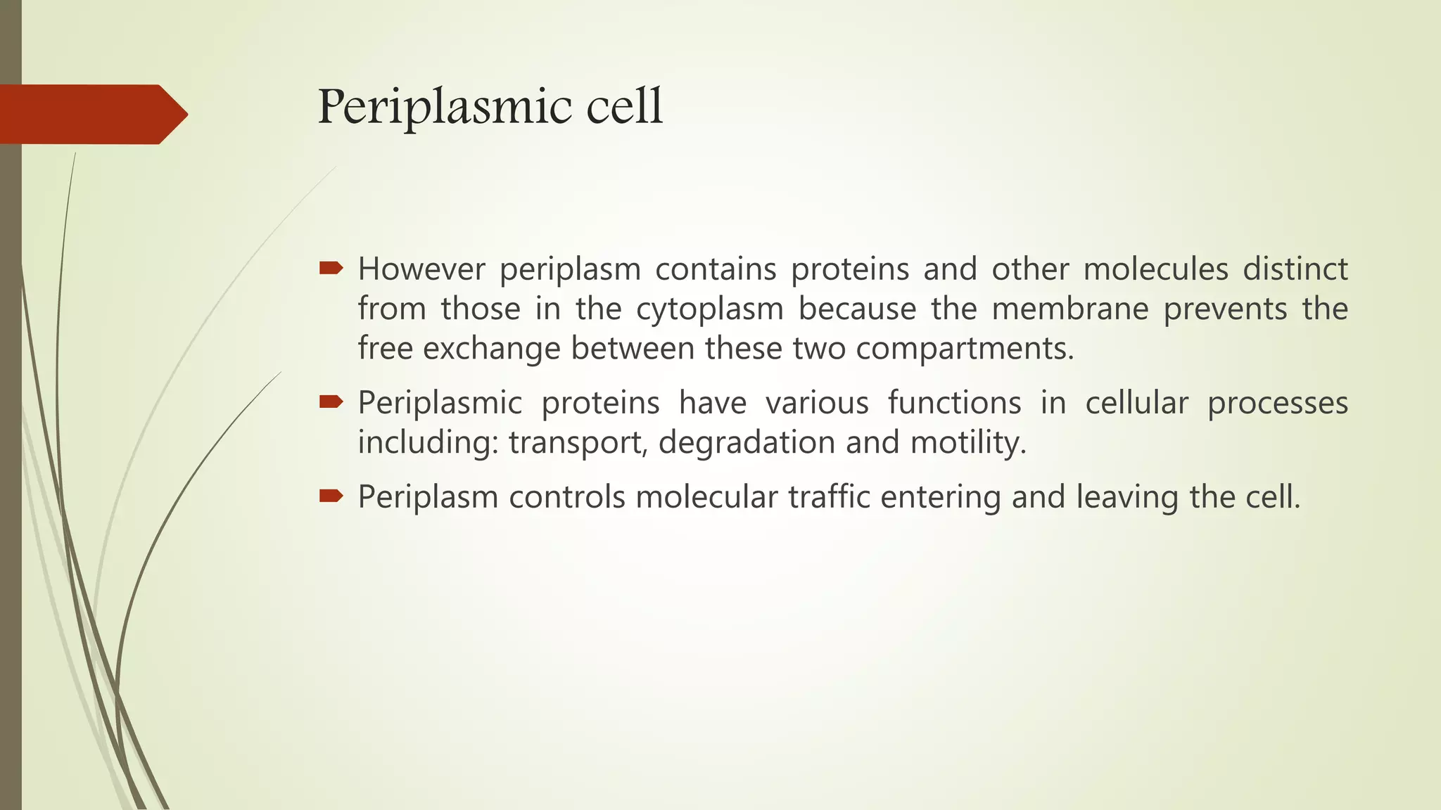 structure & classification of microbes | PPTX