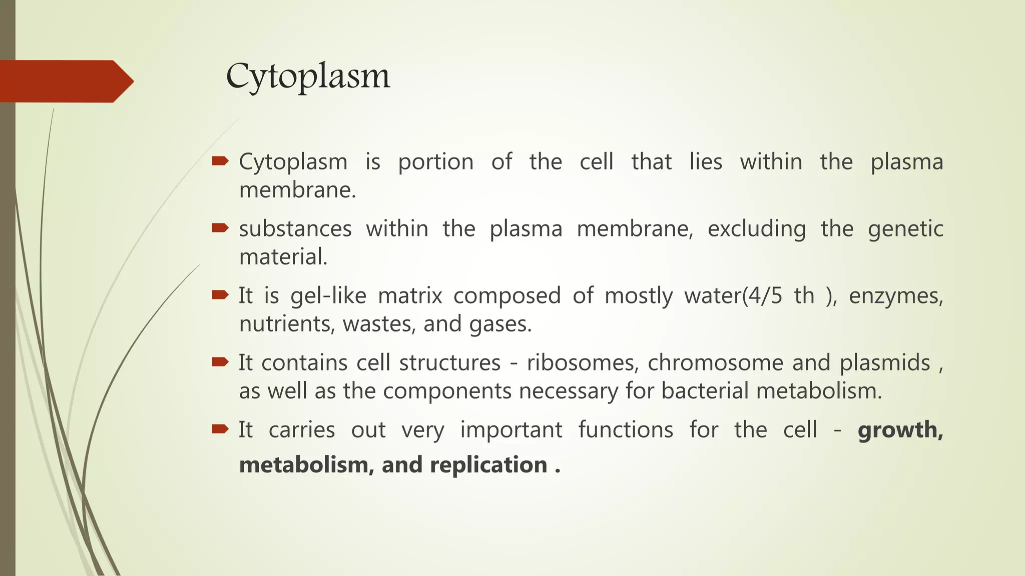 structure & classification of microbes | PPTX