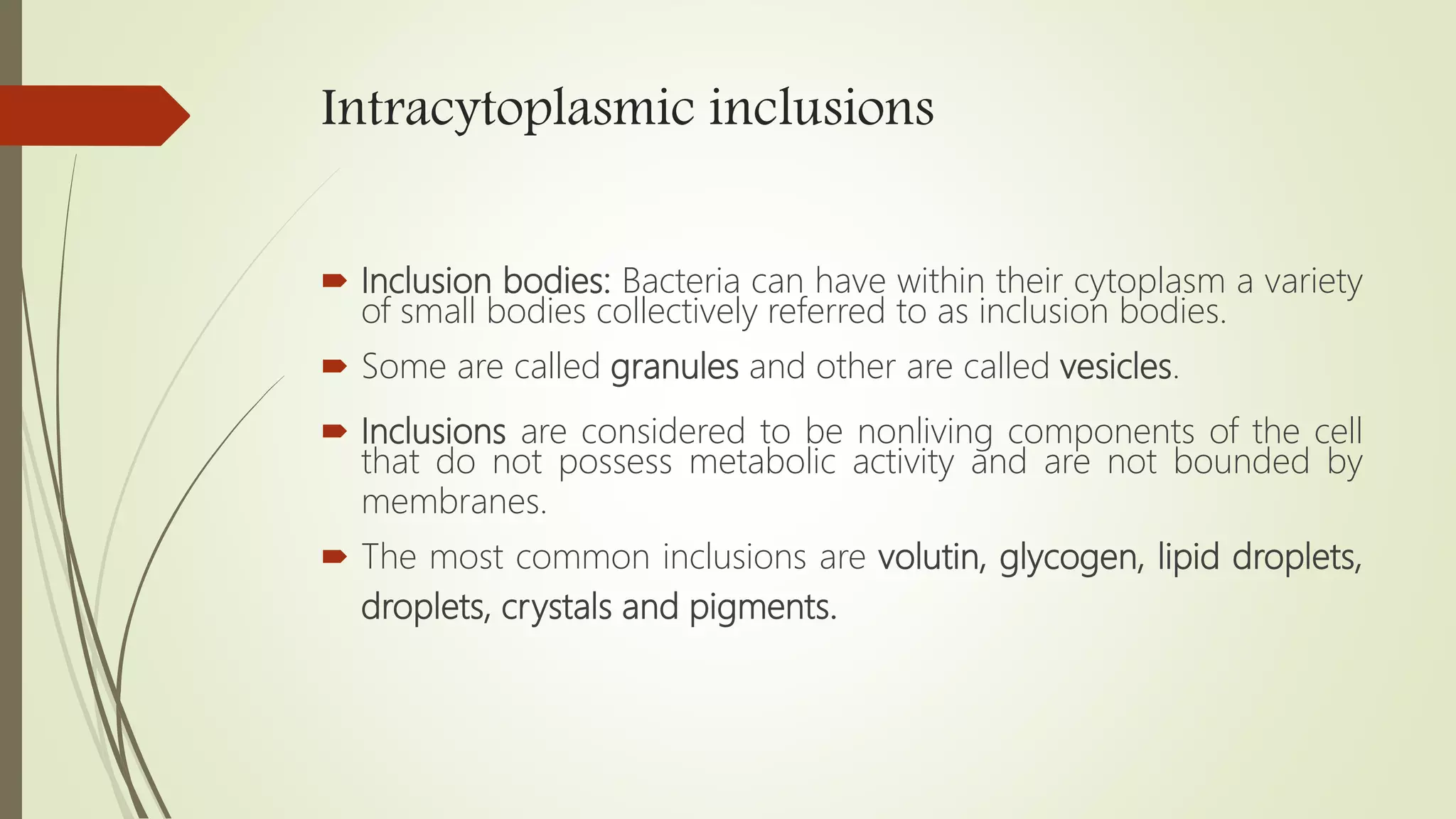 structure & classification of microbes | PPTX