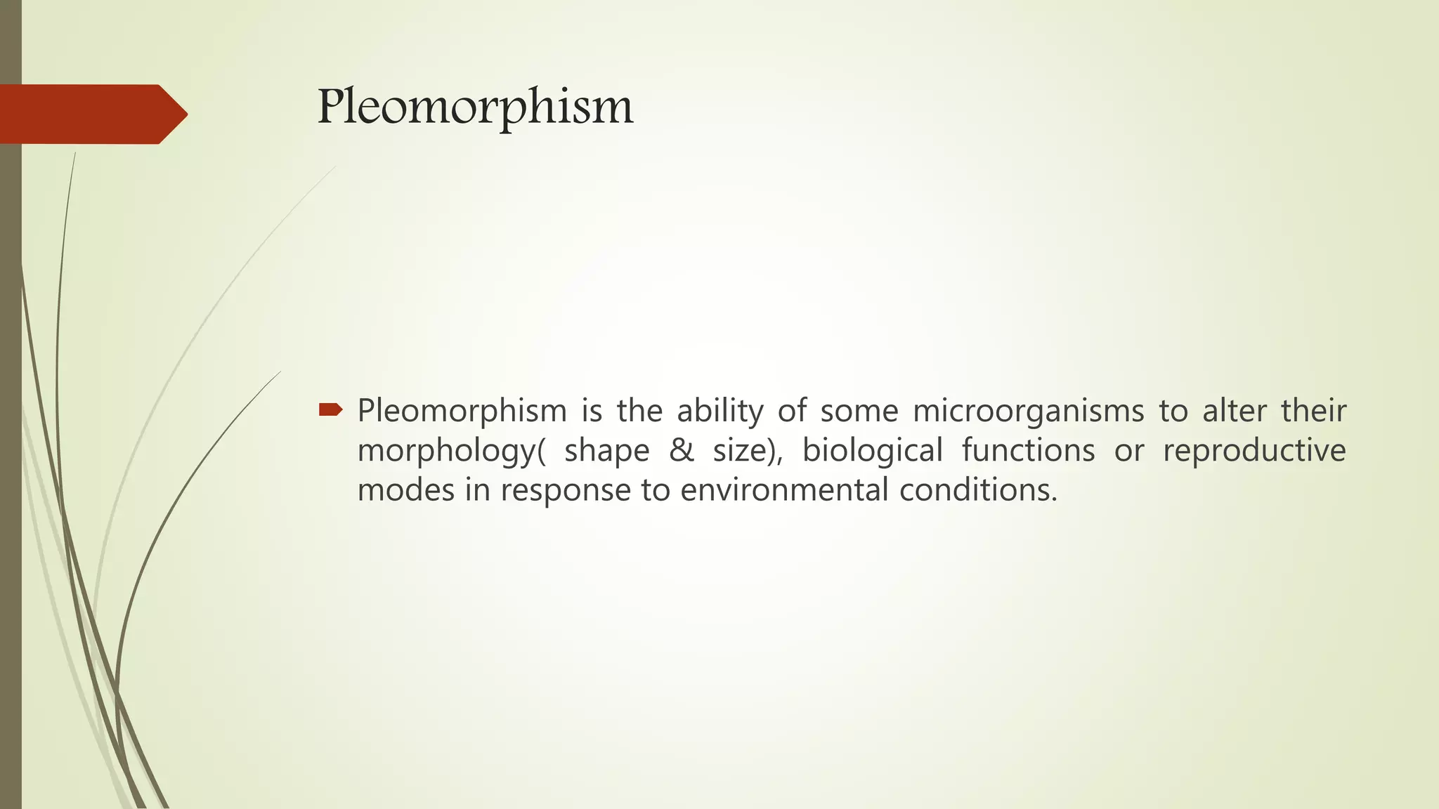 structure & classification of microbes | PPTX