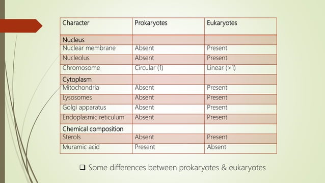 structure & classification of microbes | PPTX