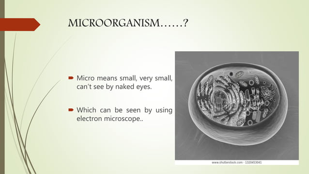 structure & classification of microbes | PPTX