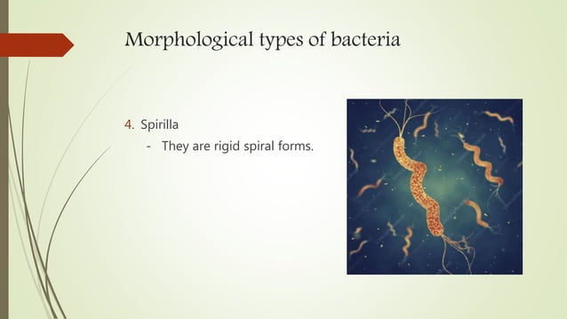 structure & classification of microbes | PPTX