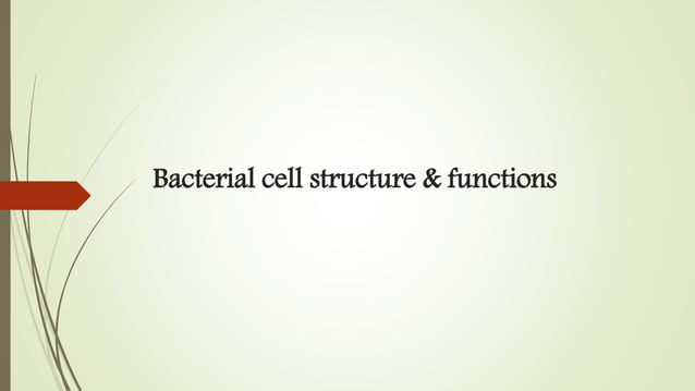 structure & classification of microbes | PPTX