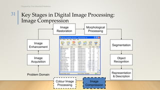 CV_2 Image Processing | PDF
