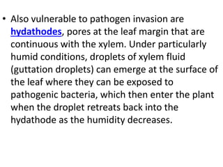 Chap2. Phenomenon of Infection.pptx