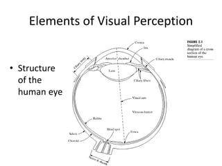 digital image processing chapter two, fundamentals | PPT