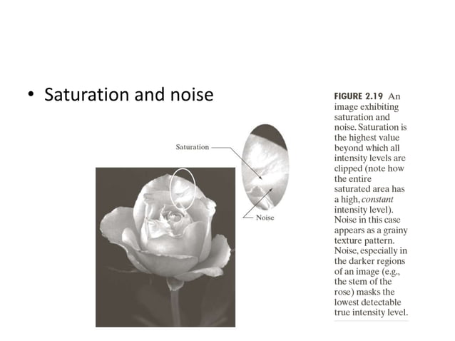 digital image processing chapter two, fundamentals | PPT | Photo Editing Software | Computer ...