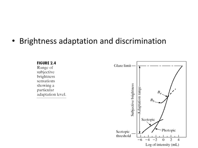 digital image processing chapter two, fundamentals | PPT | Photo Editing Software | Computer ...