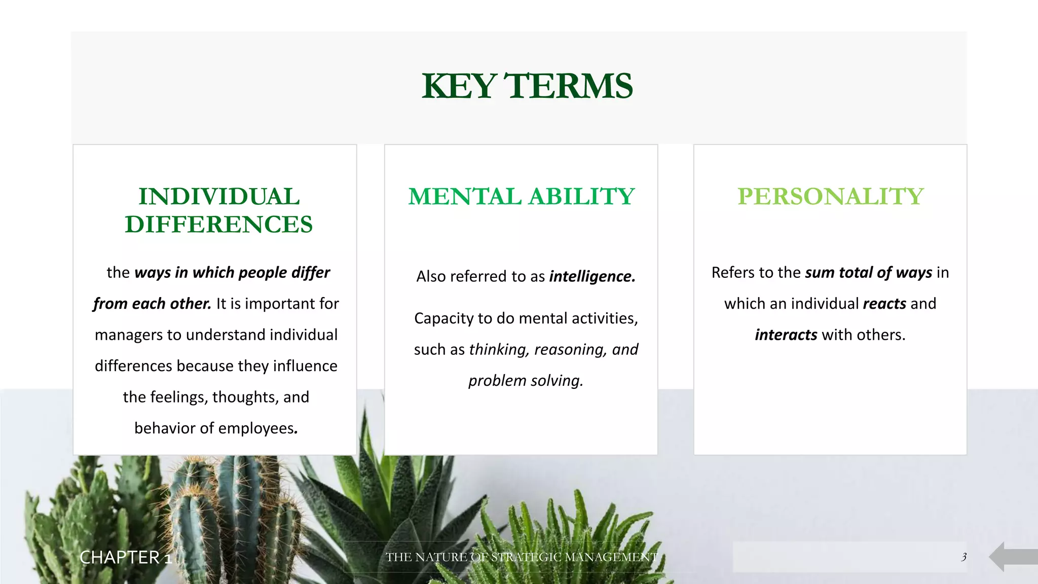 Chap 2 - Individual Differences, Mental Ability & Personality.pptx