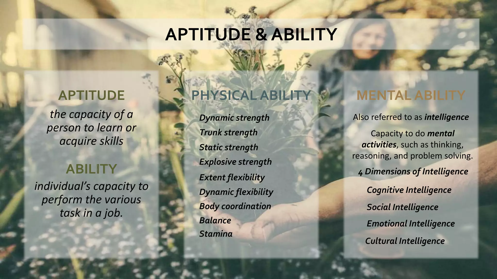 Chap 2 - Individual Differences, Mental Ability & Personality.pptx