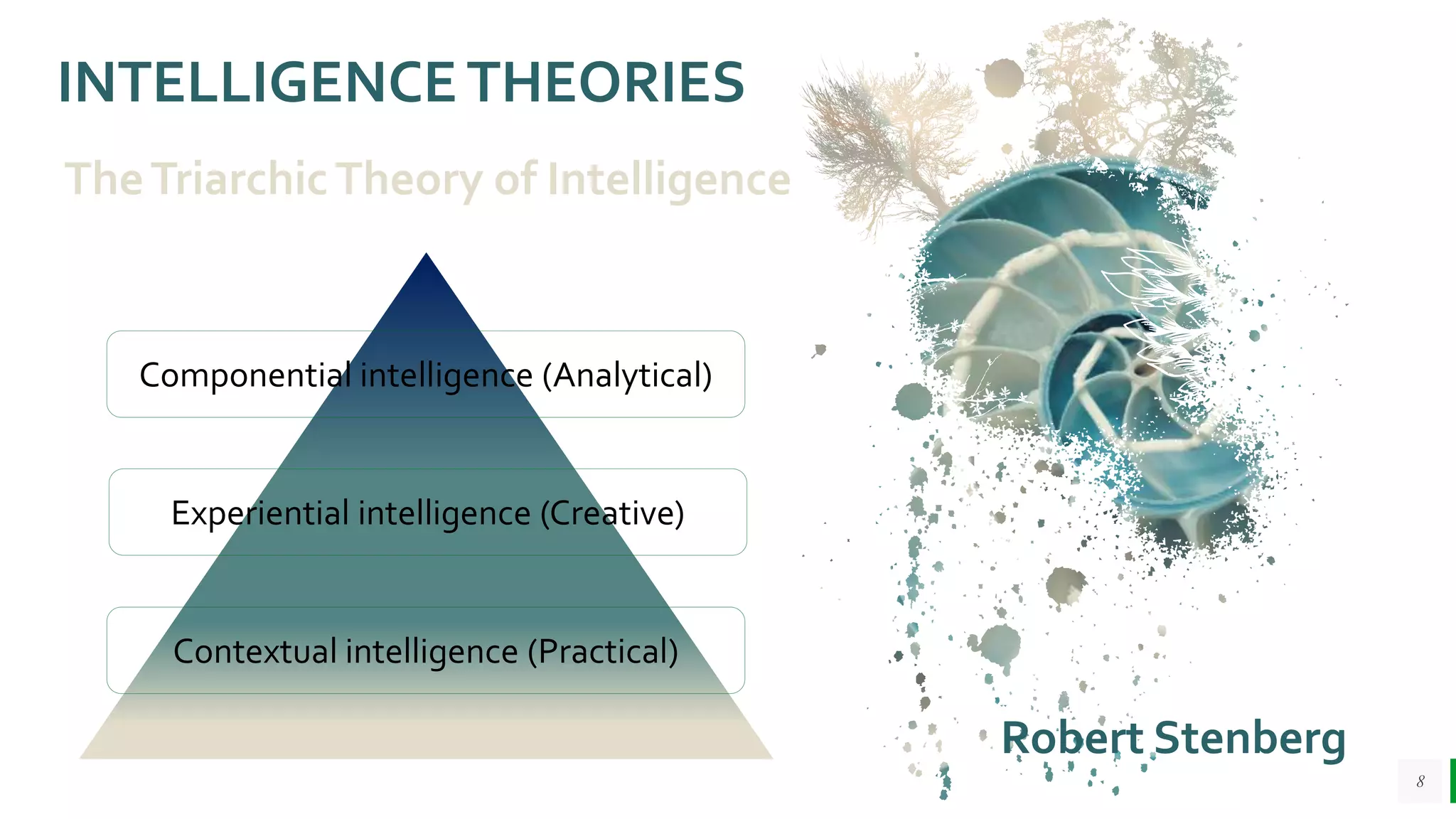 Chap 2 - Individual Differences, Mental Ability & Personality.pptx