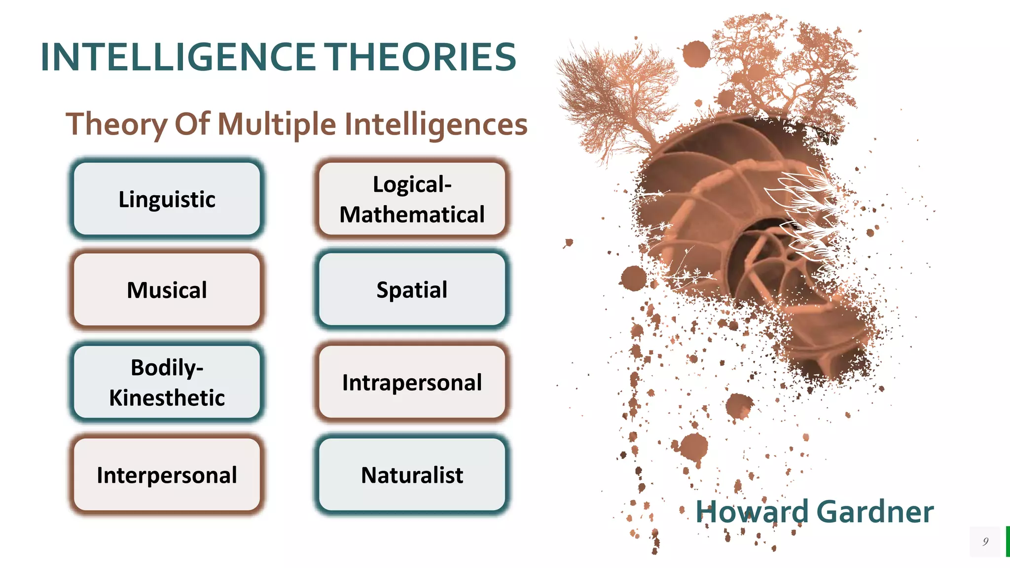 Chap 2 - Individual Differences, Mental Ability & Personality.pptx