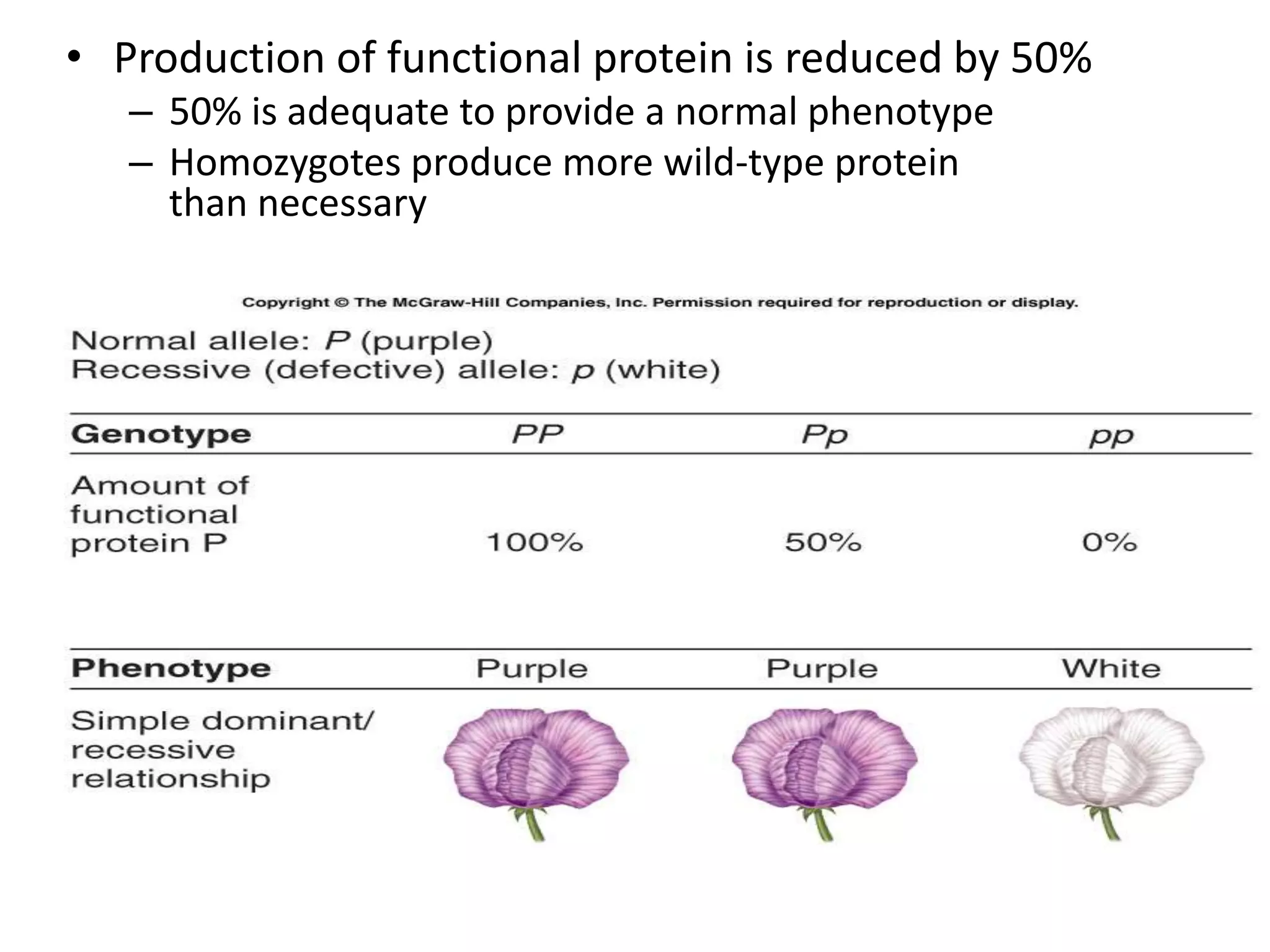 MIC150 - Chap 2 Extension Of Mendelian Genetics | PPTX