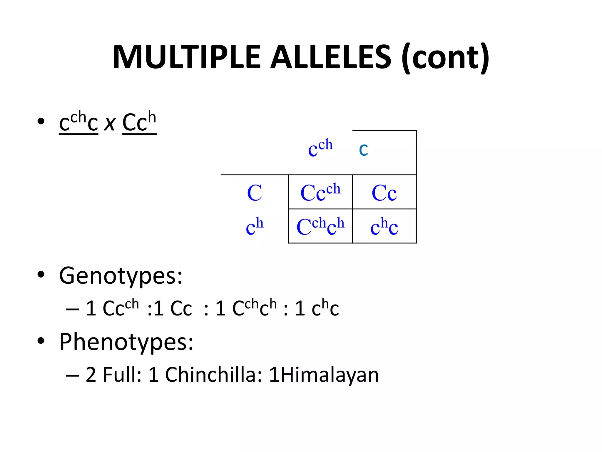 MIC150 - Chap 2 Extension Of Mendelian Genetics | PPTX