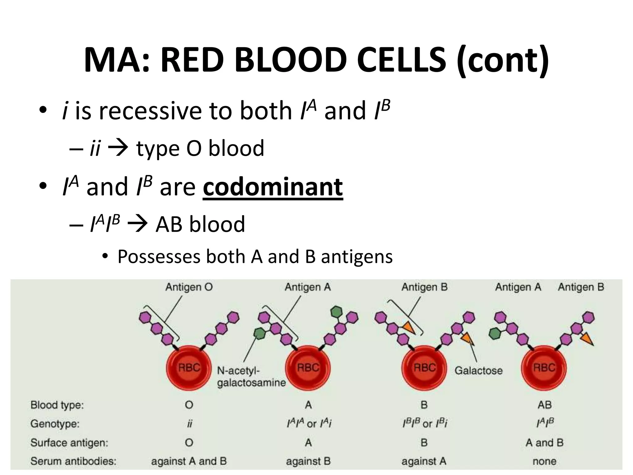 MIC150 - Chap 2 Extension Of Mendelian Genetics | PPTX