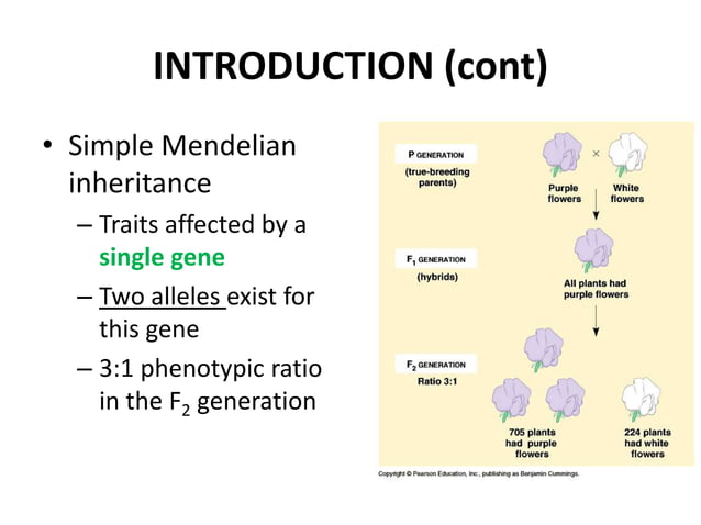 MIC150 - Chap 2 Extension Of Mendelian Genetics | PPTX