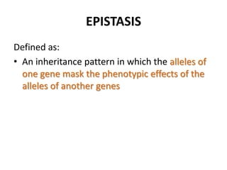 MIC150 - Chap 2 Extension Of Mendelian Genetics | PPTX