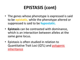 MIC150 - Chap 2 Extension Of Mendelian Genetics | PPTX