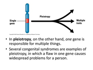 MIC150 - Chap 2 Extension Of Mendelian Genetics | PPTX